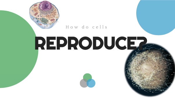 AD20-Partial II-Cell Reproduction