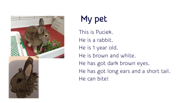 My pet