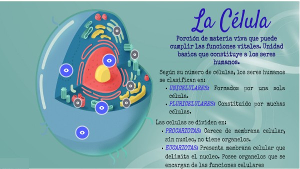 LA CÉLULA EUCARIOTA | Genially