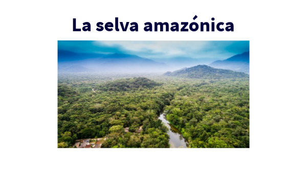 La selva amazonica