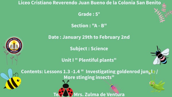 Lessons: 1.3 - 1.4 | Genially