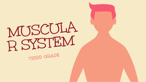 MUSCULAR SYSTEM | Genially