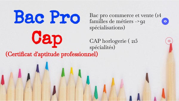 Bac Pro/Cap orientation