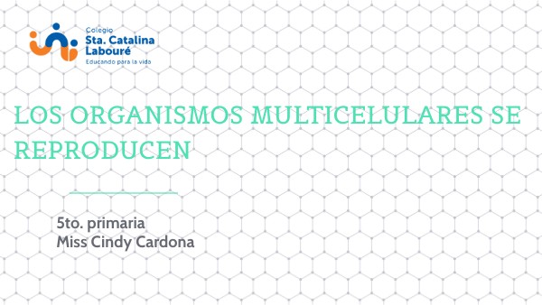 los organismos multicelulares se reproducen/5to. | Genially