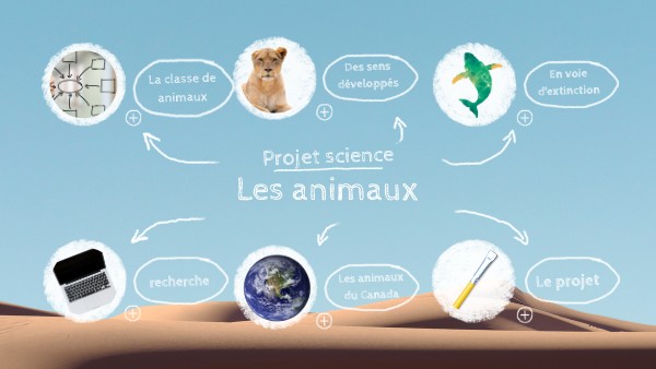 projet_les animaux