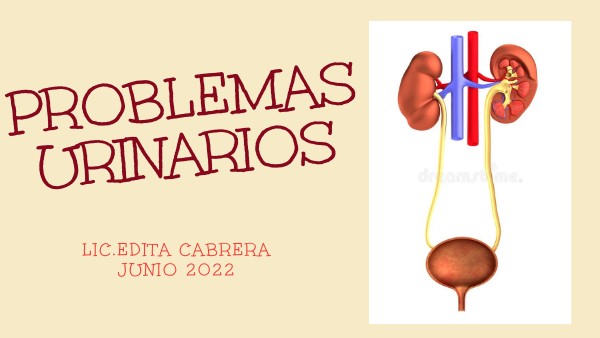 PROBLEMAS URINARIOS JUNIO 2020