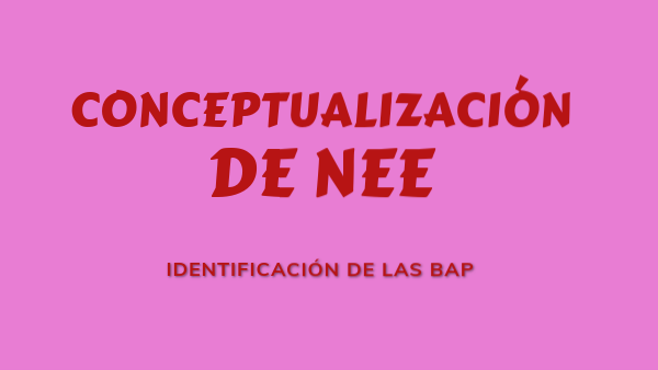 CONCEPTUALIZACIÓN DE NEE Y BAP | Genially