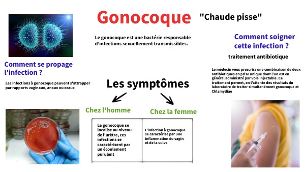 gonocoque