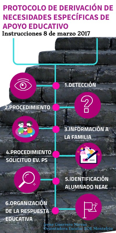 PROTOCOLO INDICIOS NEAE