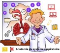ST3 Anatomie Système respiratoire