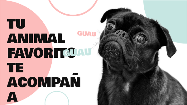 TU ANIMAL FAVORITO TE ACOMPAÑA | Genially