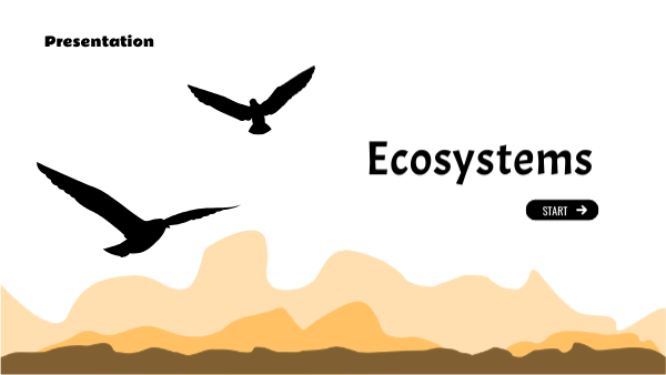ECOSYSTEMS