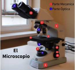 El Microscopio y sus partes | Genially