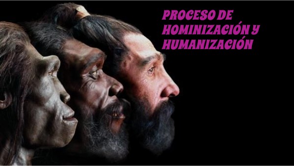 Proceso de hominización y humanización | Genially