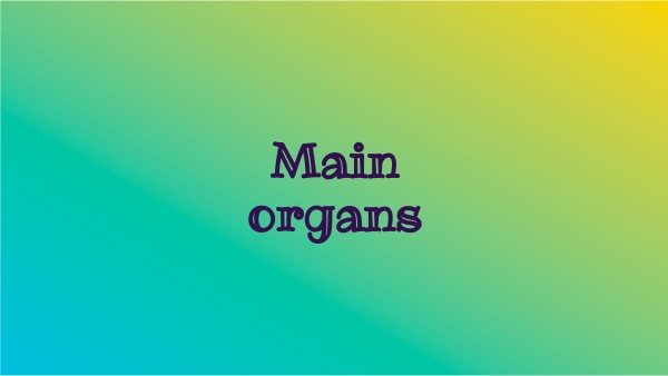Main organs - quizlet | Genially