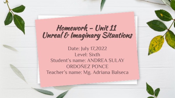 Homework - Unit 11 Unreal & Imaginary Situations