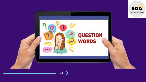 Wh Question Words A1 | Genially