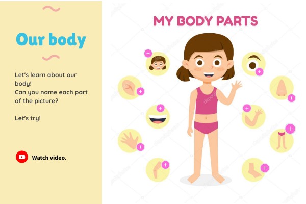Our body