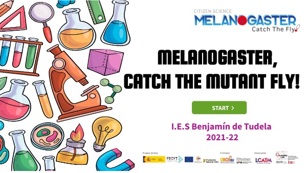MELANOGASTER, CATCH THE MUTANT FLY!