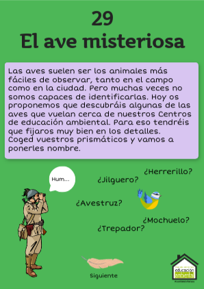 El ave misteriosa | Genially