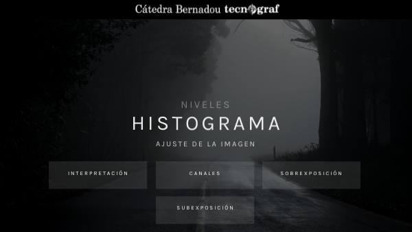 Niveles Histograma | Genially