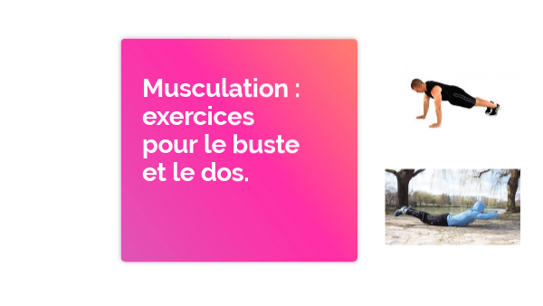 Musculation : exercices pour le buste et le dos. | Genially