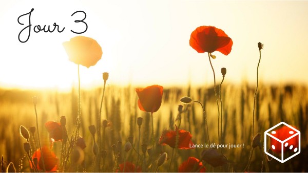 Jour 3