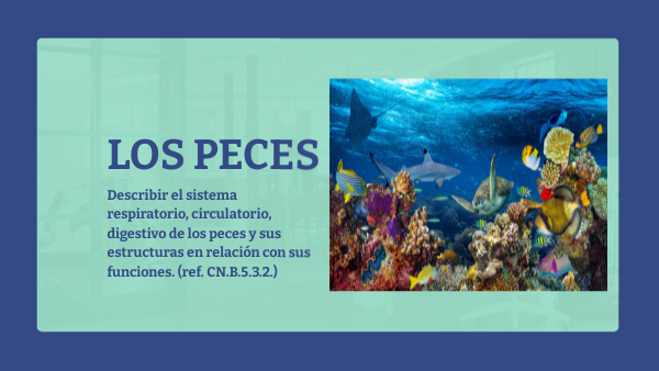 Los peces | Genially