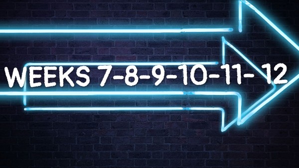 Third Grade - Weeks 7-8-9-10-11-12