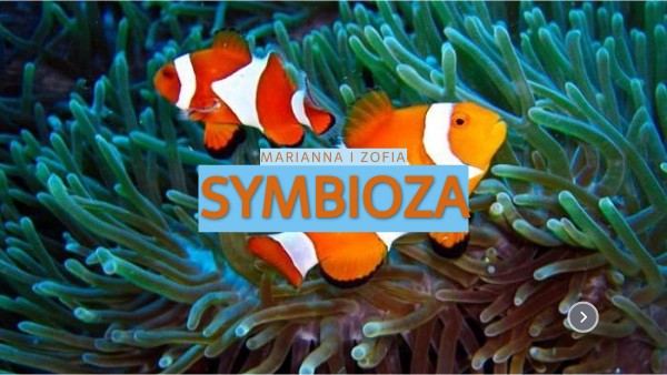 symbioza