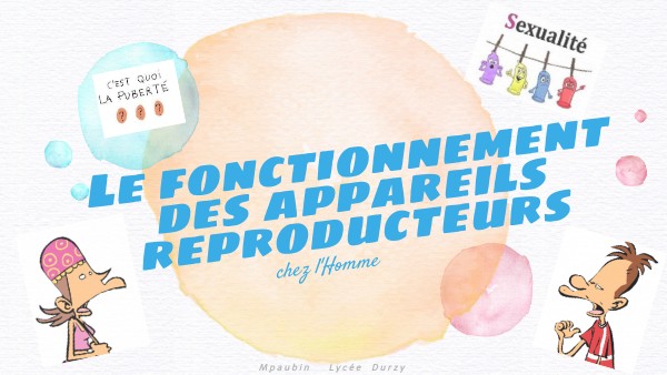 Début reproduction seconde | Genially