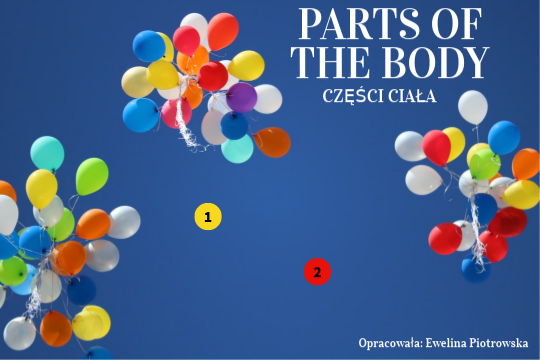 PARTS OF THE BODY | Genially