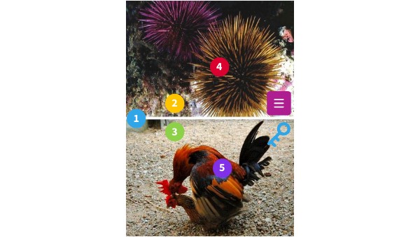 5ème / Chap 10 / Reproduction et milieux de vie | Genially