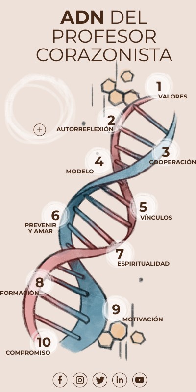 INFO VERTICAL ADN | Genially