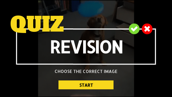 REVISION: 2ND GRADE | Genially