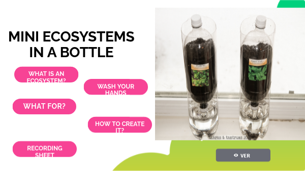 MINI ECOSYSTEMS in a bottle