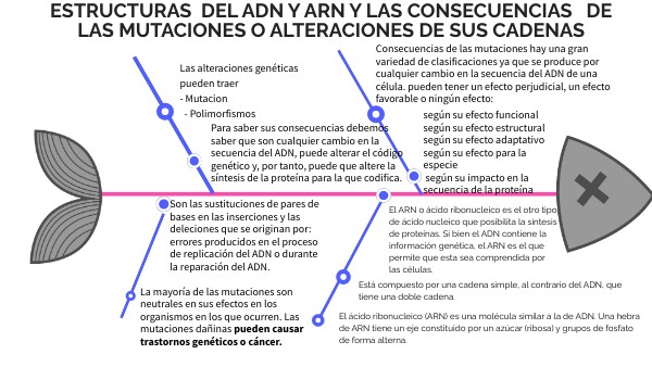 ARN - ADN | Genially