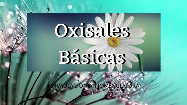 Oxisales básicas | Genially