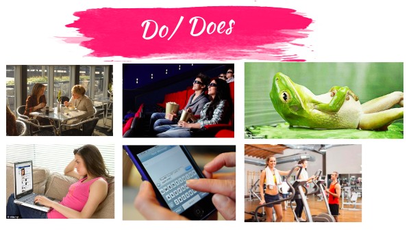 WH questions | Genially