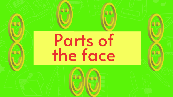 Parts of the face | Genially