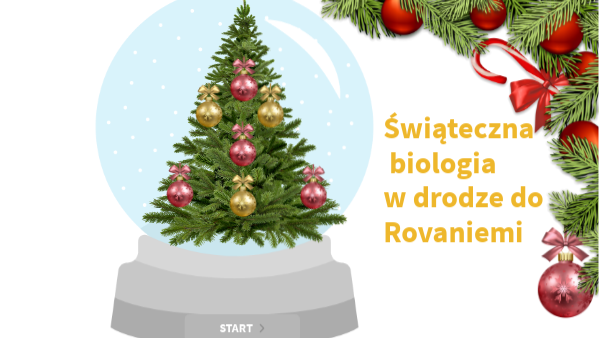 świąteczna biologia copy | Genially
