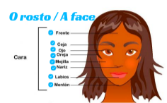 Partes del rostro | Genially