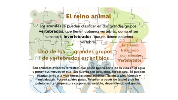 ANIMAL CLASSIFICATION PUZZLES