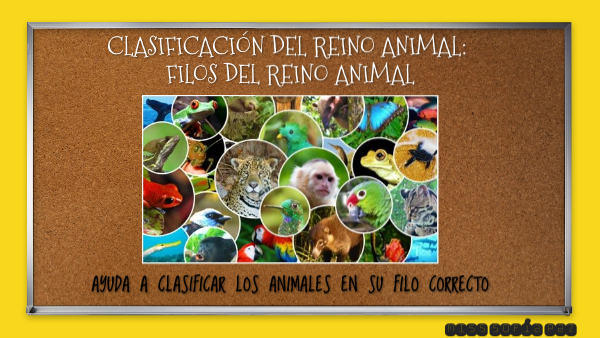 Clasificación animales y plantas en filos