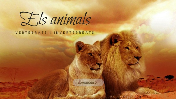 PRESENTACIÓ ANIMALS. | Genially