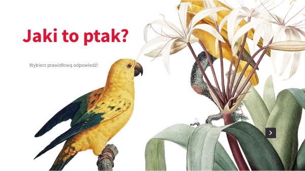 Jaki to ptak? | Genially