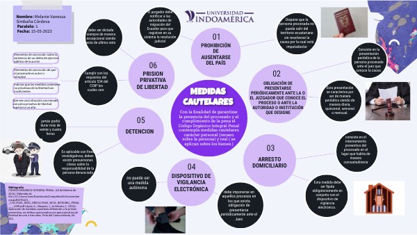 MAPA CONCEPTUAL MEDIDAS CAUTELARES | Genially