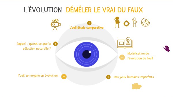 Evolution comme grille de lecture du monde ES Term | Genially