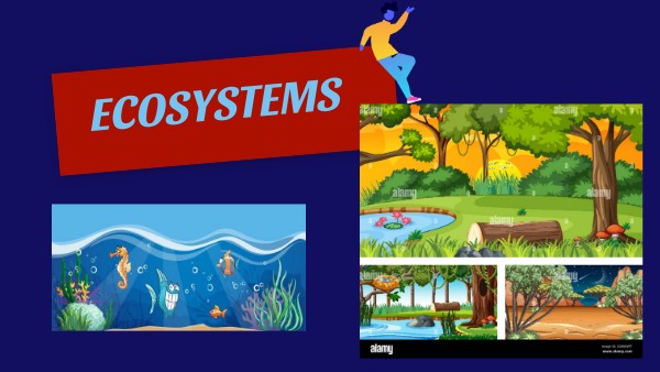 ECOSYSTEM | Genially