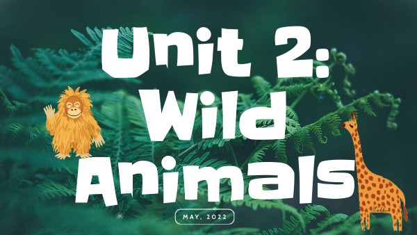 UNIT 2: LESSON 2. 7TH GRADE